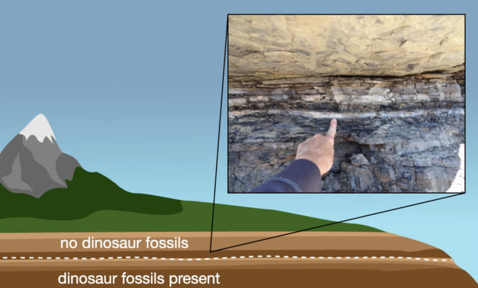 5.4.2 What killed the dinosaurs? – Earth & Space Science
