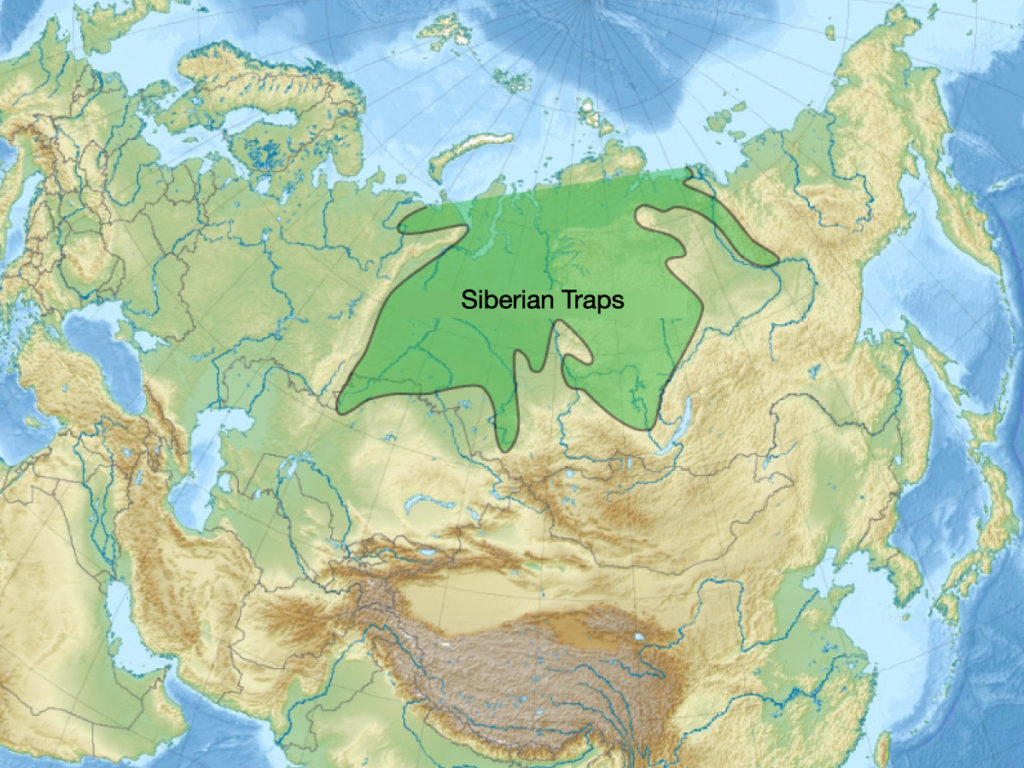 5.4.1 What major changes mark Earth’s fossil record? – Earth & Space ...