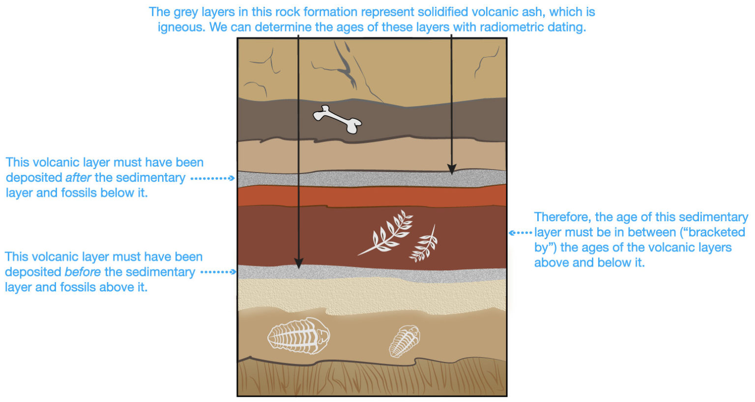 5.1.3 How do we learn the ages of rocks and fossils? – Earth & Space ...
