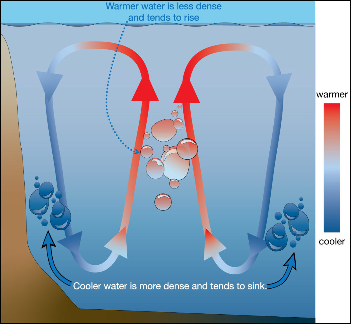 6.2.3 What is the general pattern of ocean currents? – Earth & Space ...